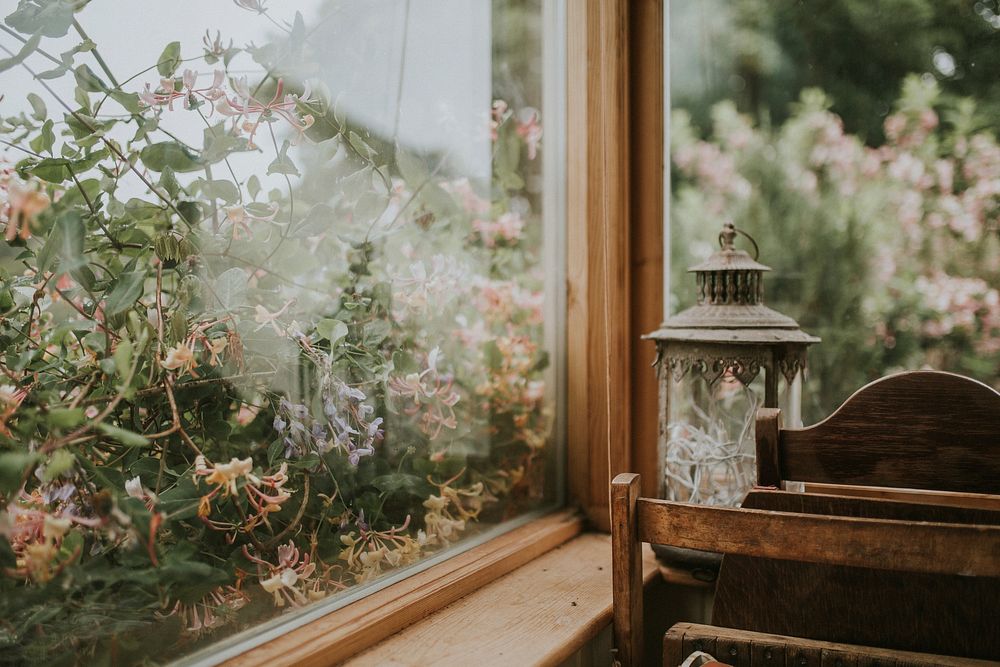 The Window Ledge Shelf Outdoor
